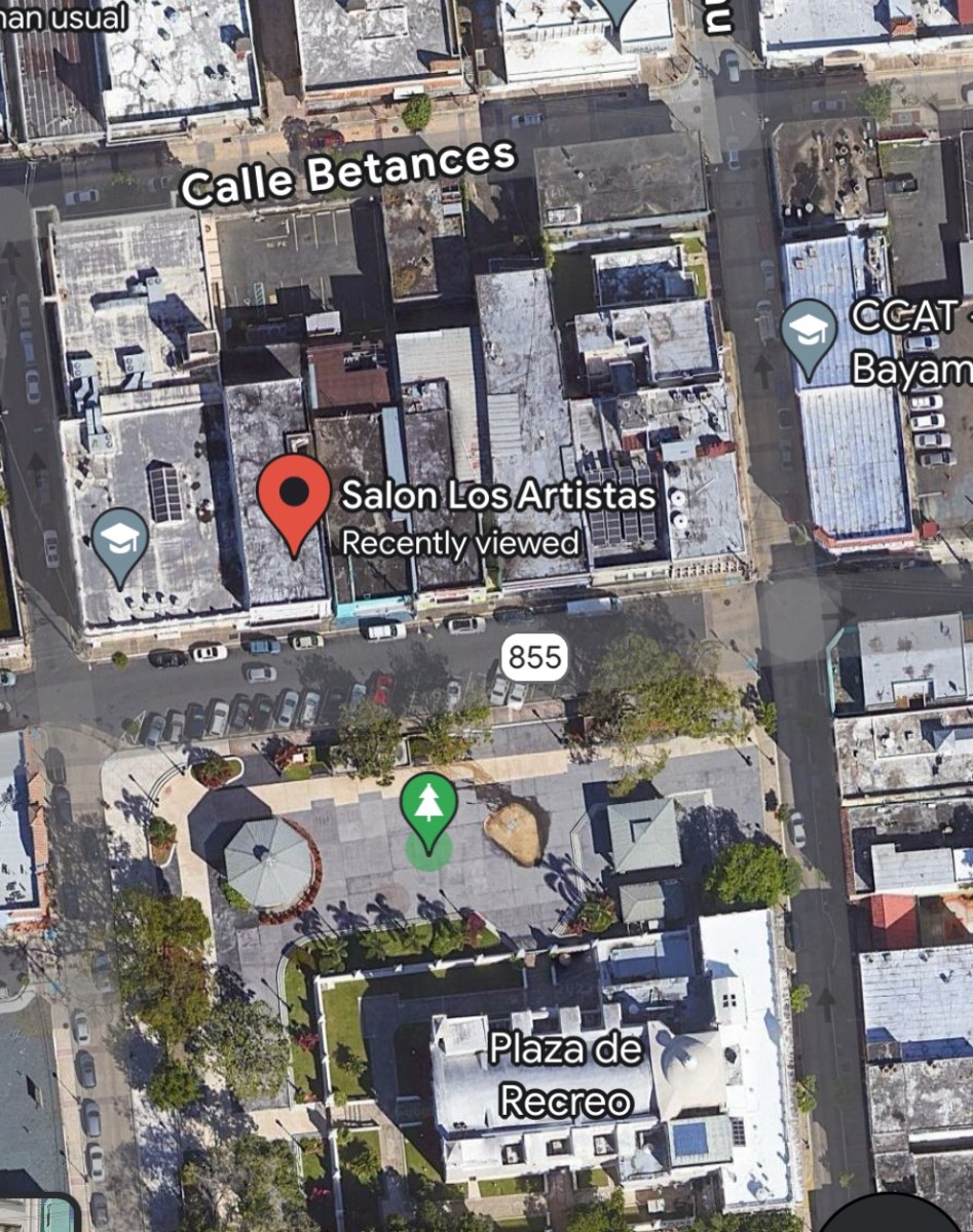 El municipio de Bayamón expropió el Salón de los Artistas para mudar la ...